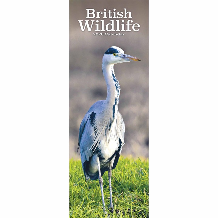 British Wildlife Slim Calendar 2026 Desk Calendars
