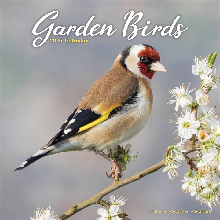Garden Birds Calendar 2026 – Desk Calendars