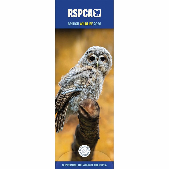 Rspca British Wildlife Slim Calendar 2026 Desk Calendars